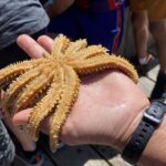 Queen Charlotte Sound: Lochmara Cruise & Explore 9-2.45 - Exploring Lochmara Lodge and Its Diverse Offerings