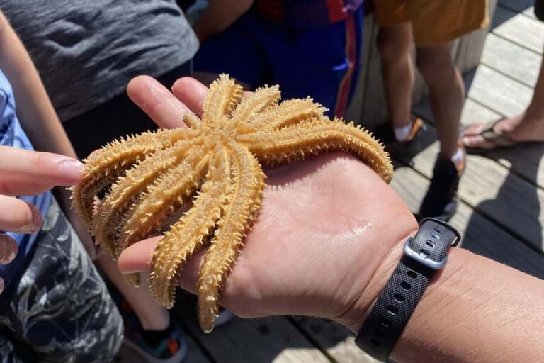 Queen Charlotte Sound: Lochmara Cruise & Explore 9-2.45 - Exploring Lochmara Lodge and Its Diverse Offerings