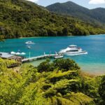 Queen Charlotte Track Self Guided Hike to Eatwells Lookout - Practical Tips for Your Hike