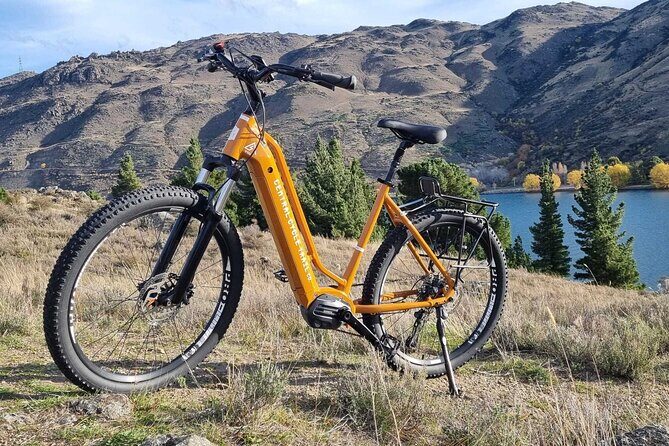Queenstown and Gibbston Valley E Bike Adventure - What Makes This Tour Stand Out?