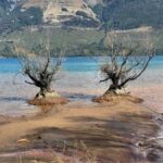 Queenstown: Glenorchy Private Tour with Hotel Pickup - Exploring Glenorchy: A Tranquil Gem