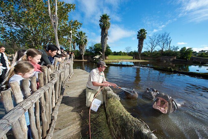 Ranger Mystery Tour at Werribee Open Range Zoo - excl. entry - The Sum Up: Who Should Consider This Tour?
