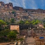 Ranthambore WildLife (tiger safari)Full Day Tour From Jaipur - What Makes This Tour a Good Choice?