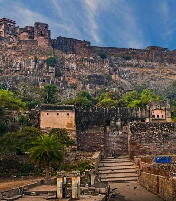 Ranthambore WildLife (tiger safari)Full Day Tour From Jaipur - What Makes This Tour a Good Choice?