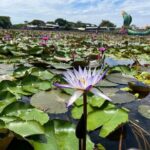 Red Lotus Pond Floating Market and Ayutthaya Historical Park - What Travelers Say