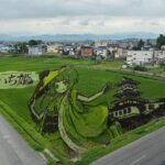 Rice Paddy Art and Apple Picking Full day Private Tour - Transport, Price, and Practicalities