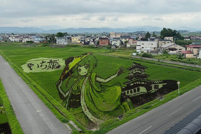 Rice Paddy Art and Apple Picking Full day Private Tour - Transport, Price, and Practicalities