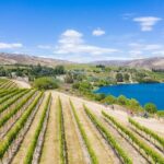 Ride and Wine Central Otago E bike Adventure - Final Thoughts: Who Will Love This Experience?