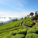 Ride Sri Lanka: Discover the Ancient Kingdom 12 Day Tour - Who Is This Tour Best For?