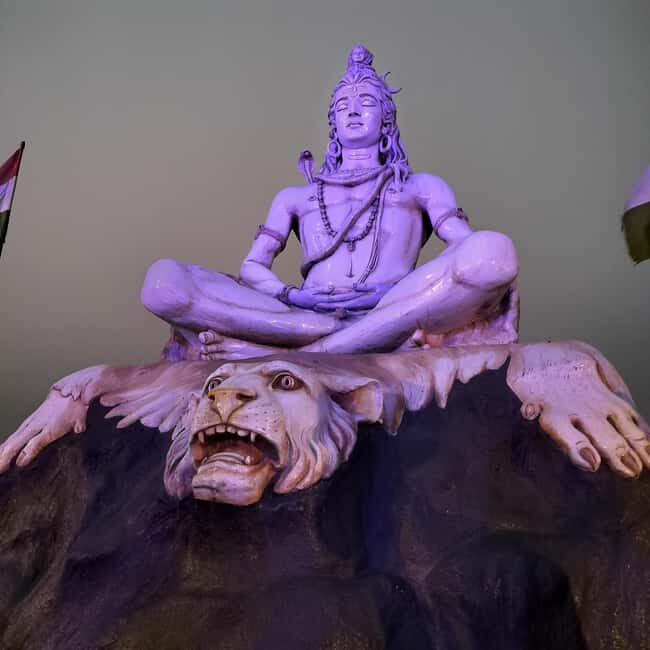 Rishikesh: Ganga Aarti Ceremony with Transfers - Who Would Love This Tour?