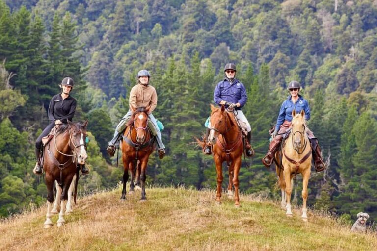 River Valley Lodge: High Country Enchantment Horse Trek - An In-Depth Look at the High Country Enchantment Horse Trek