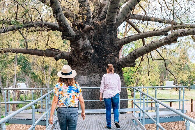 Roma Revelation Tour Experience - FAQ About the Roma Revelation Tour