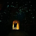 Rotorua Full Day Adventure in Glowworm Cave and Redwoods - Authentic Experiences and Real Traveler Feedback