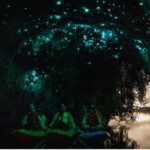 Rotorua: Glow Worm Adventure Kayak - The Nature of the Paddle