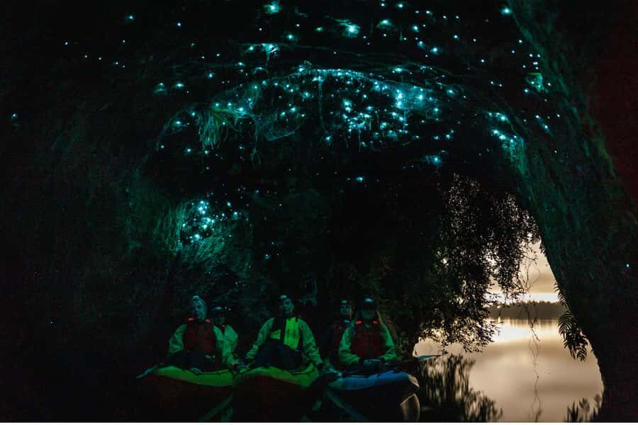 Rotorua: Glow Worm Adventure Kayak - The Nature of the Paddle