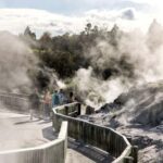 Rotorua: Glowworm Cave, Redwoods Forest & Te Puia Tour - Who Should Consider This Tour?