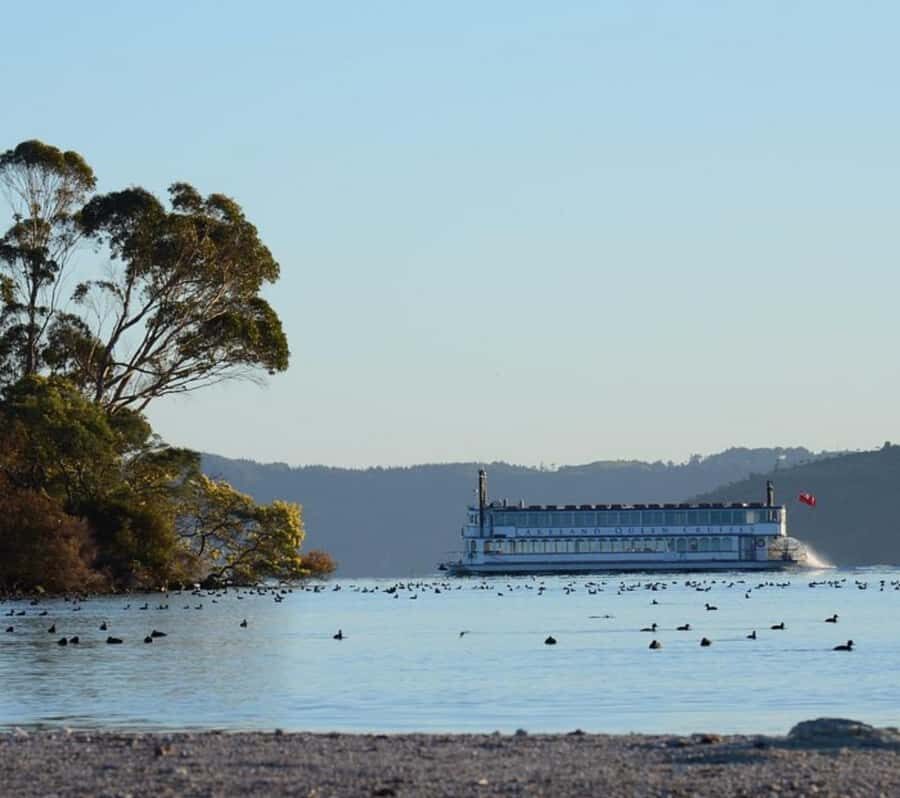 Rotorua: Lake Rotorua Cruise with Buffet Dining Option - Is It Worth the Price?