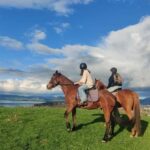 Rotorua: Scenic Horse Trek - Who Will Love This Experience?