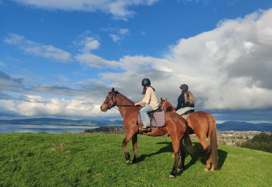 Rotorua: Scenic Horse Trek - Who Will Love This Experience?