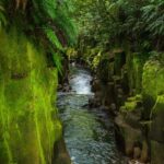 Rotorua: Whirinaki Forest Guided Tour with Spa Entry - The Spa Experience: A Perfect Finish