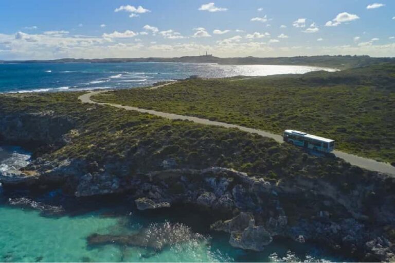 Rottnest Island 1.75 Hour Bayseeker Island Tour - Exploring Rottnest Island: A Practical and Authentic Experience