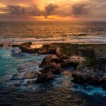 Rottnest Island Seals, Sunset & West End Bus Tour - The Itinerary in Detail