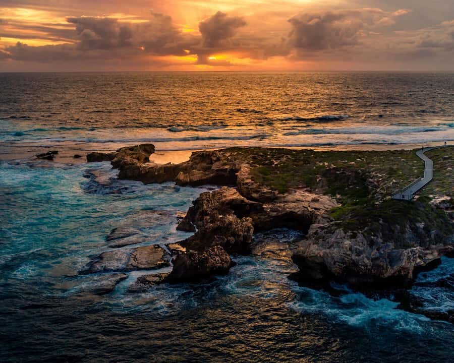 Rottnest Island Seals, Sunset & West End Bus Tour - The Itinerary in Detail