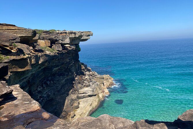 Royal National Park Wilderness Half-Day from Sydney with Picnic - Transportation and Timing