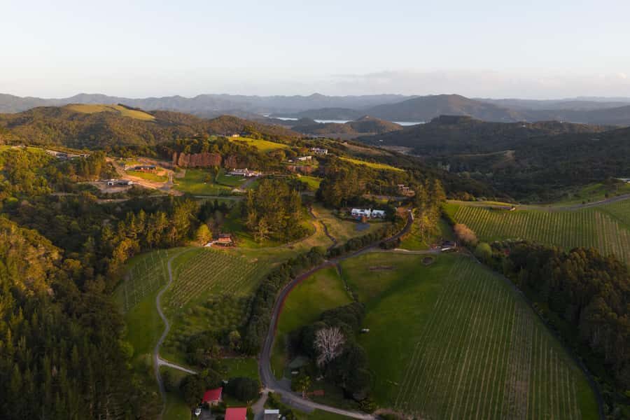 Russell: Paroa Bay Winery - Wine Tasting and Grazing - The Experience: A Balanced Look at What You’ll Encounter