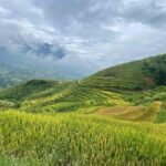 Sa Pa: Villages and Rice Fields Private Half-Day Car Tour - What to Expect During Your Tour