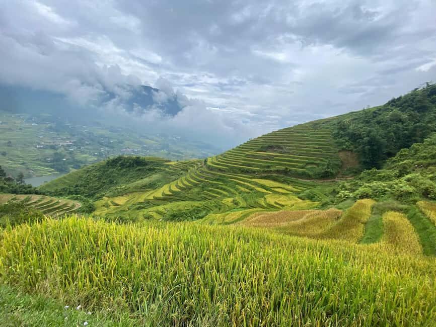 Sa Pa: Villages and Rice Fields Private Half-Day Car Tour - What to Expect During Your Tour