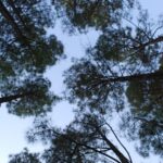 Sagar Gad: Full-Day Hill Fort Trekking from Mumbai - How the Experience Feels for Participants