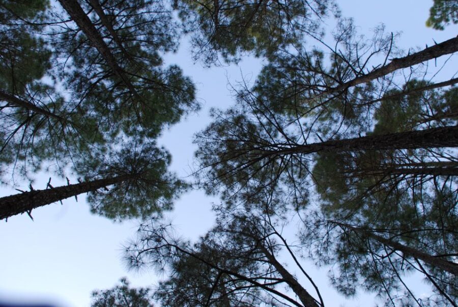 Sagar Gad: Full-Day Hill Fort Trekking from Mumbai - How the Experience Feels for Participants