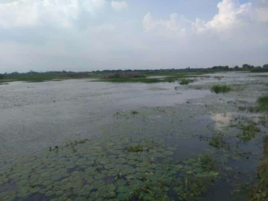 Saharanpur Uncovered: A 2-Day Escape into Culture & Craft - Analyzing the Value