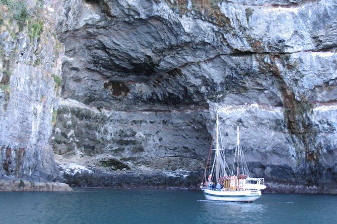 Sailing and Wildlife Tour Akaroa Fox II Sailing - Frequently Asked Questions