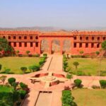 Same Day Jaipur Tour from Delhi by Car or Train - What Makes This Tour Stand Out?