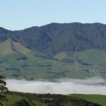 Sanctuary Mountain Ancient Forest Walk & Hamilton Gardens Tour - A Detailed Look at the Tour Experience