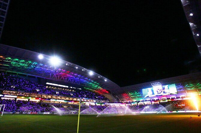 Sanfrecce Hiroshima Football Game Ticket - Analyzing the Value