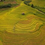 SAPA 1 DAY MOTORBIKE: Visit The Most Remote Villages of SaPa - Why This Tour Offers Great Value