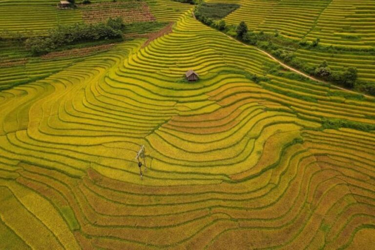 SAPA 1 DAY MOTORBIKE: Visit The Most Remote Villages of SaPa - Why This Tour Offers Great Value