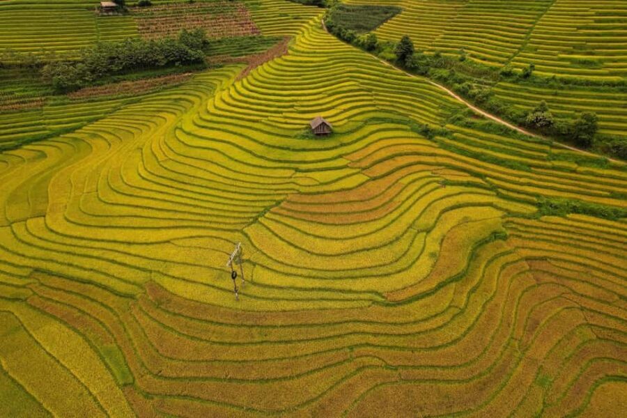 SAPA 1 DAY MOTORBIKE: Visit The Most Remote Villages of SaPa - Why This Tour Offers Great Value