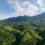 Sapa: 4-Day Trekking Tour with Homestay - What Makes This Tour Special?