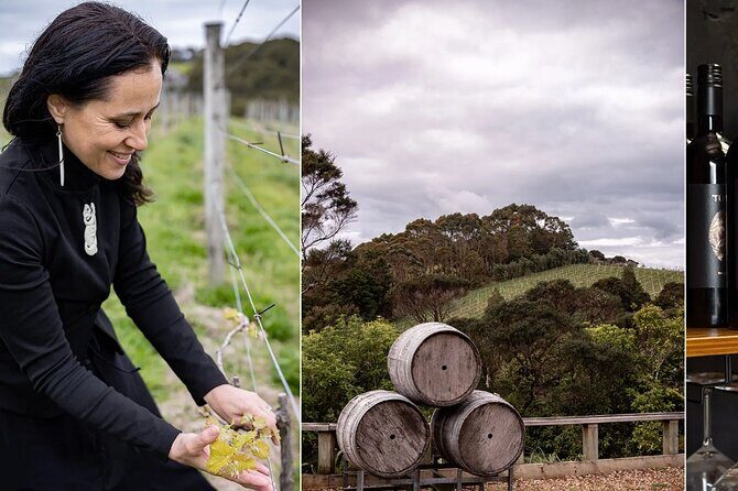 Scenic Maori Cultural Tour Of Waiheke Island With Lunch - What Makes This Tour Stand Out?