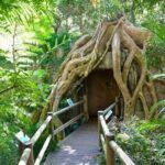 Scenic Rim Explorer - Is this Tour Worth It?