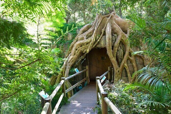 Scenic Rim Explorer - Is this Tour Worth It?