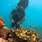 Scuba Diving in Tribe Gate - What’s Included and What’s Not