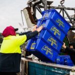 Seafood Discovery Class at Sydney Seafood School - Overall Value & Considerations