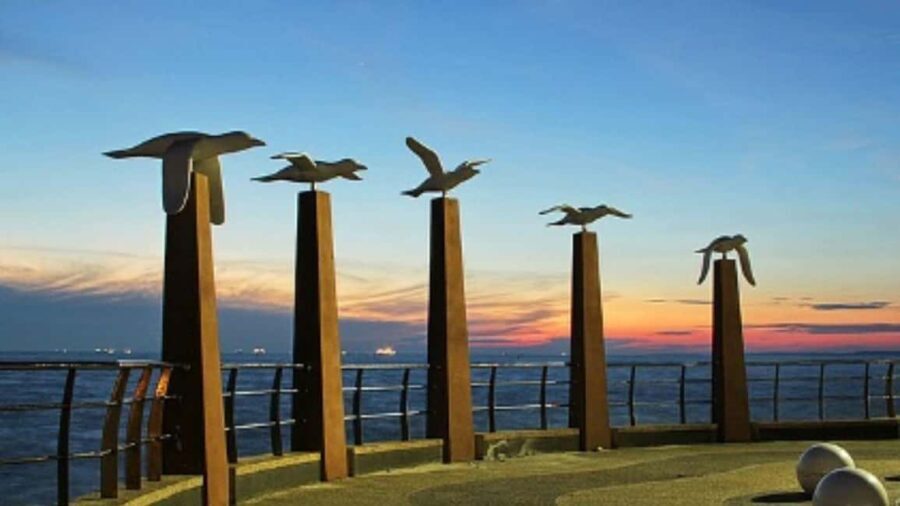 Seaside Charms & Eco Discoveries: Morib to Bagan Lalang - Practical Details and Why They Matter