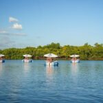 Self Drive BBQ eBoat Cruise with Onboard BBQ Denarau Fiji - What You Can Expect: In-Depth Itinerary Breakdown