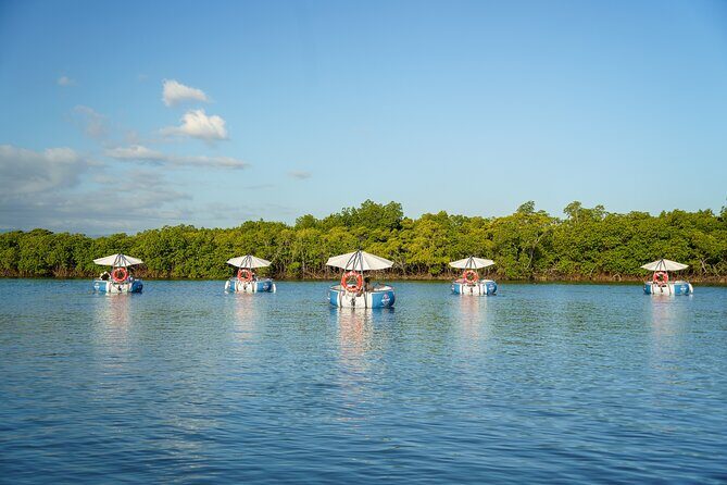 Self Drive BBQ eBoat Cruise with Onboard BBQ Denarau Fiji - What You Can Expect: In-Depth Itinerary Breakdown